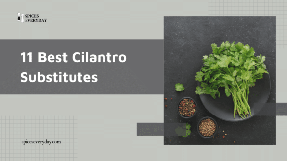 11 Best Cilantro Substitute Ideas to Spice Up Meals
