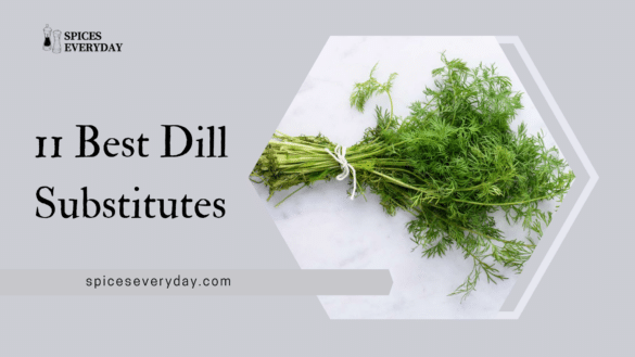 11 Best Dill Substitute Ideas: Flavorful Herb Alternatives