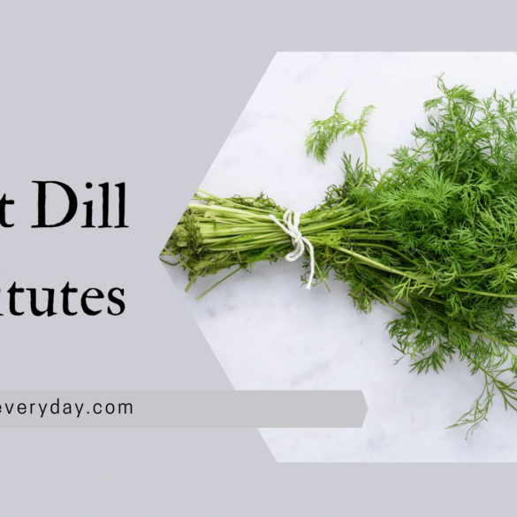 11 Best Cilantro Substitute Ideas to Spice Up Meals