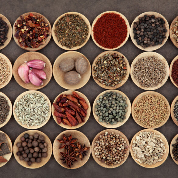 11 Best Cilantro Substitute Ideas to Spice Up Meals