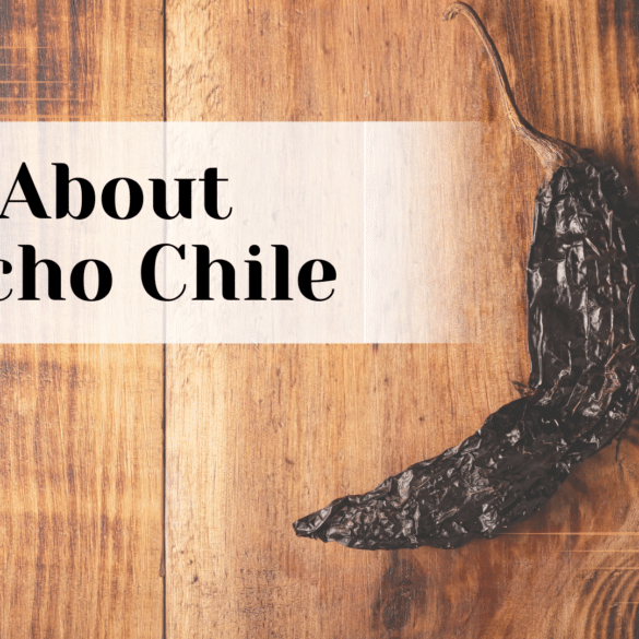 Ancho Chile: Flavor, Uses, and Health Benefits