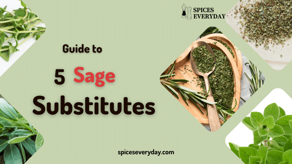 5 Best Sage Substitutes for Your Recipes